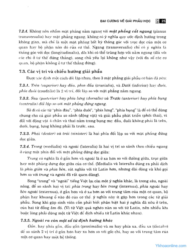 Giải phẫu người tập 1 gs. trịnh văn minh byt | PDF