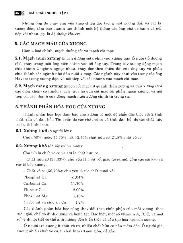 Giải phẫu người tập 1 gs. trịnh văn minh byt | PDF