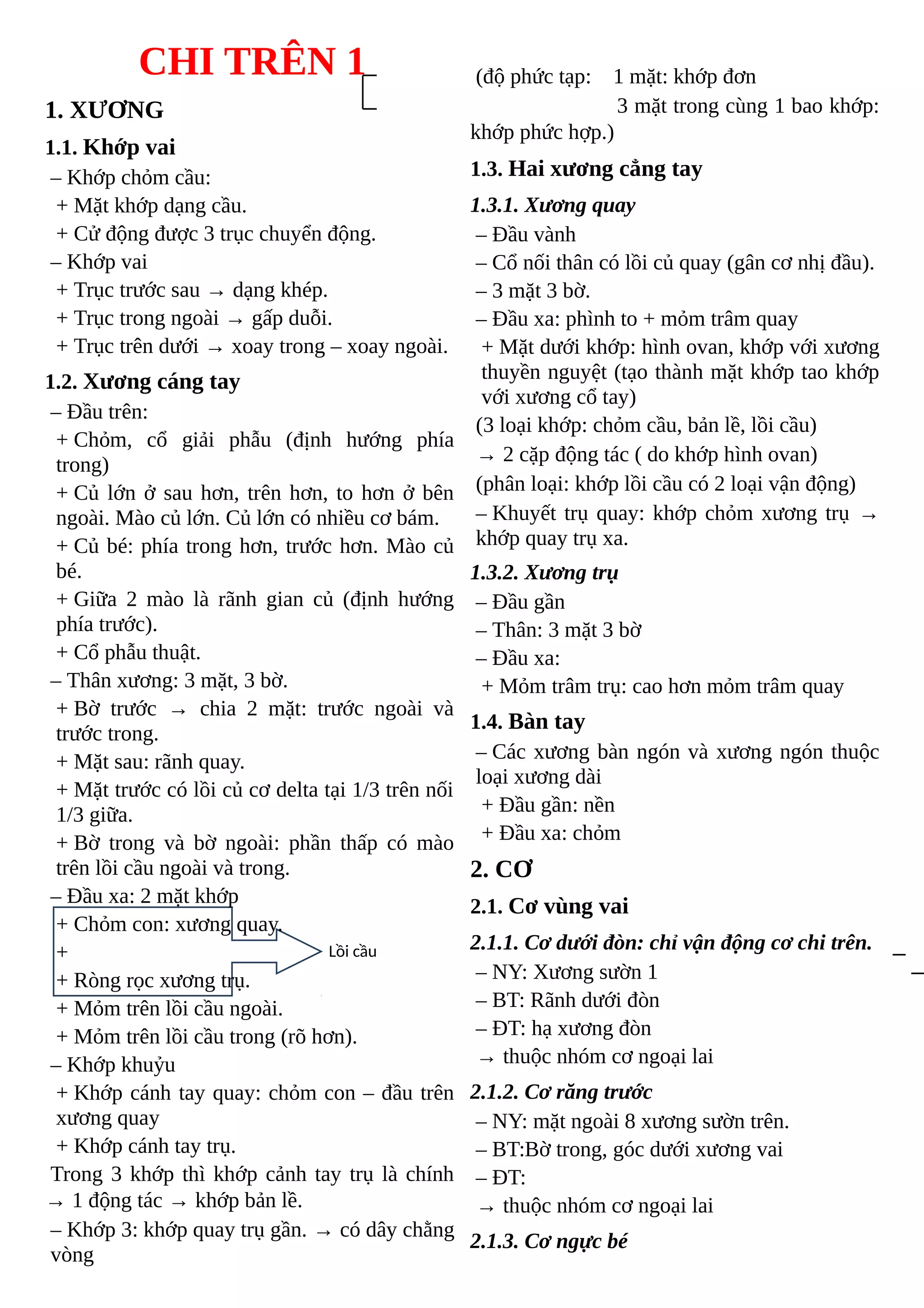 Giải phẫu ôn thi nội trú thầy huy 5224135 | PDF