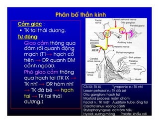 giải phẫu vùng mang tai.pdf