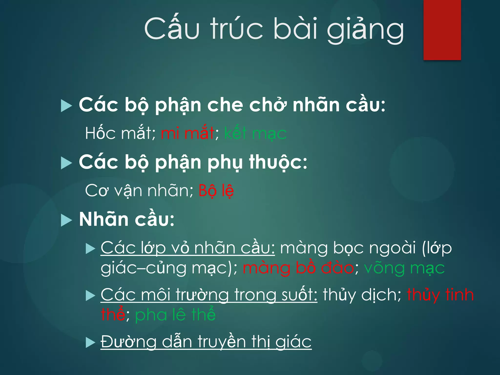 GIẢI PHẪU HỌC VÀ SINH LÝ NHÃN CẦU | PDF