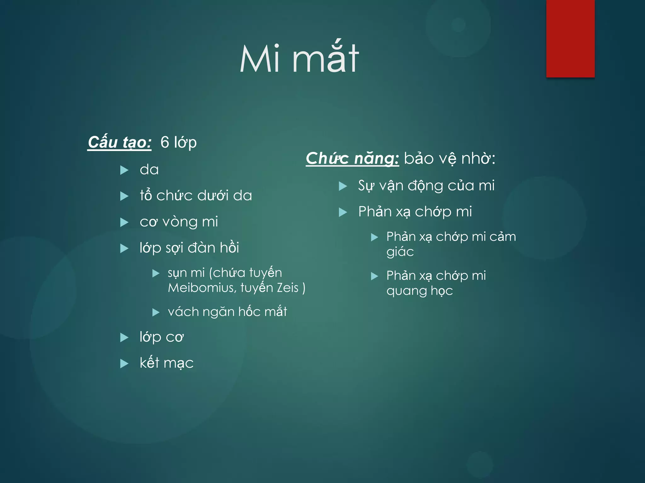 GIẢI PHẪU HỌC VÀ SINH LÝ NHÃN CẦU | PDF