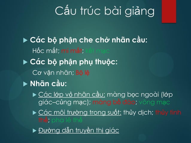 GIẢI PHẪU HỌC VÀ SINH LÝ NHÃN CẦU | PDF