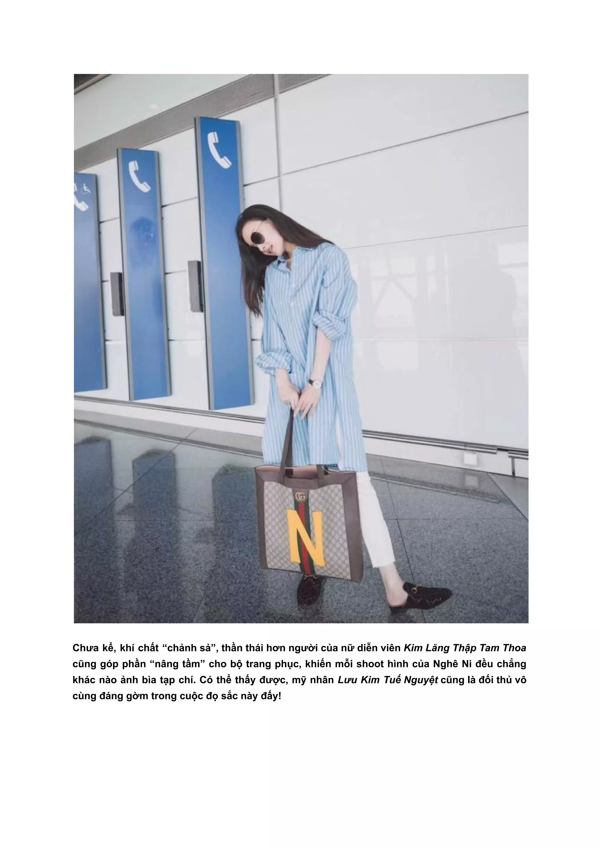 Gioi thieu ve dienanhnet | PDF