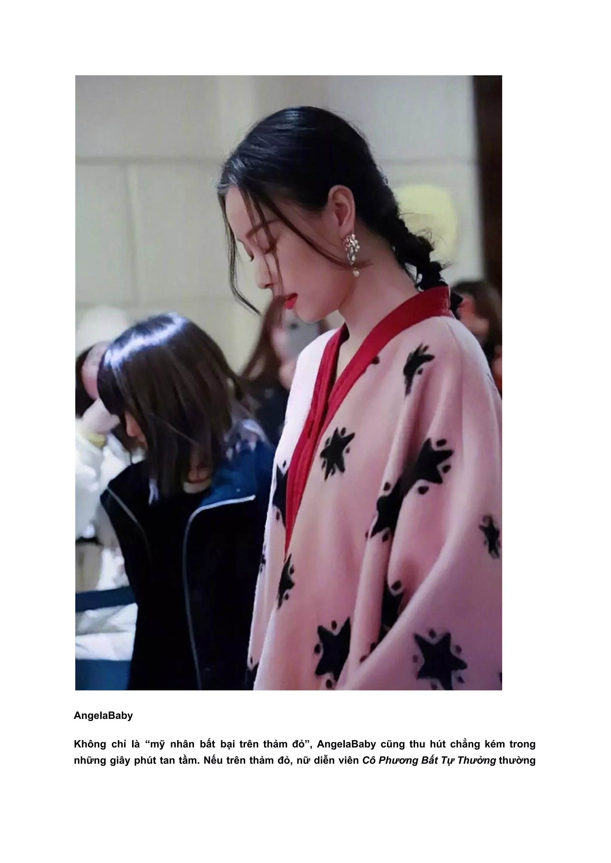 Gioi thieu ve dienanhnet | PDF