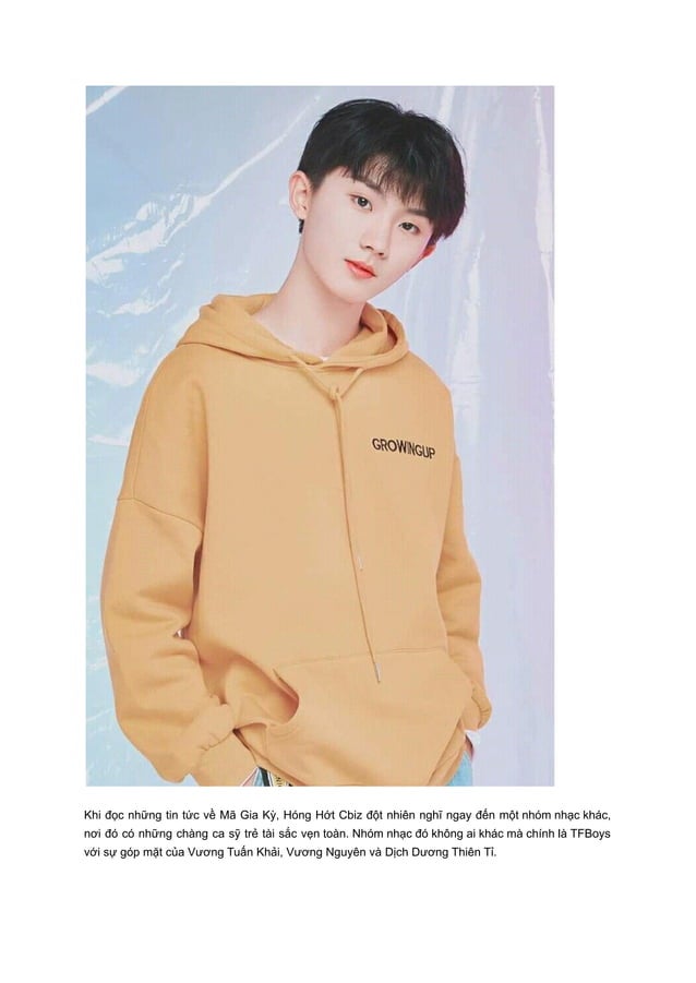 Gioi thieu ve dienanhnet | PDF