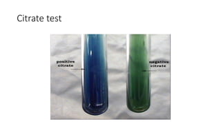 GI Lab 1.pdf