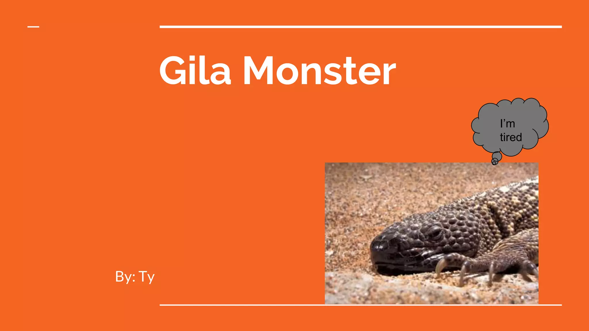 Gila Monster | PPTX