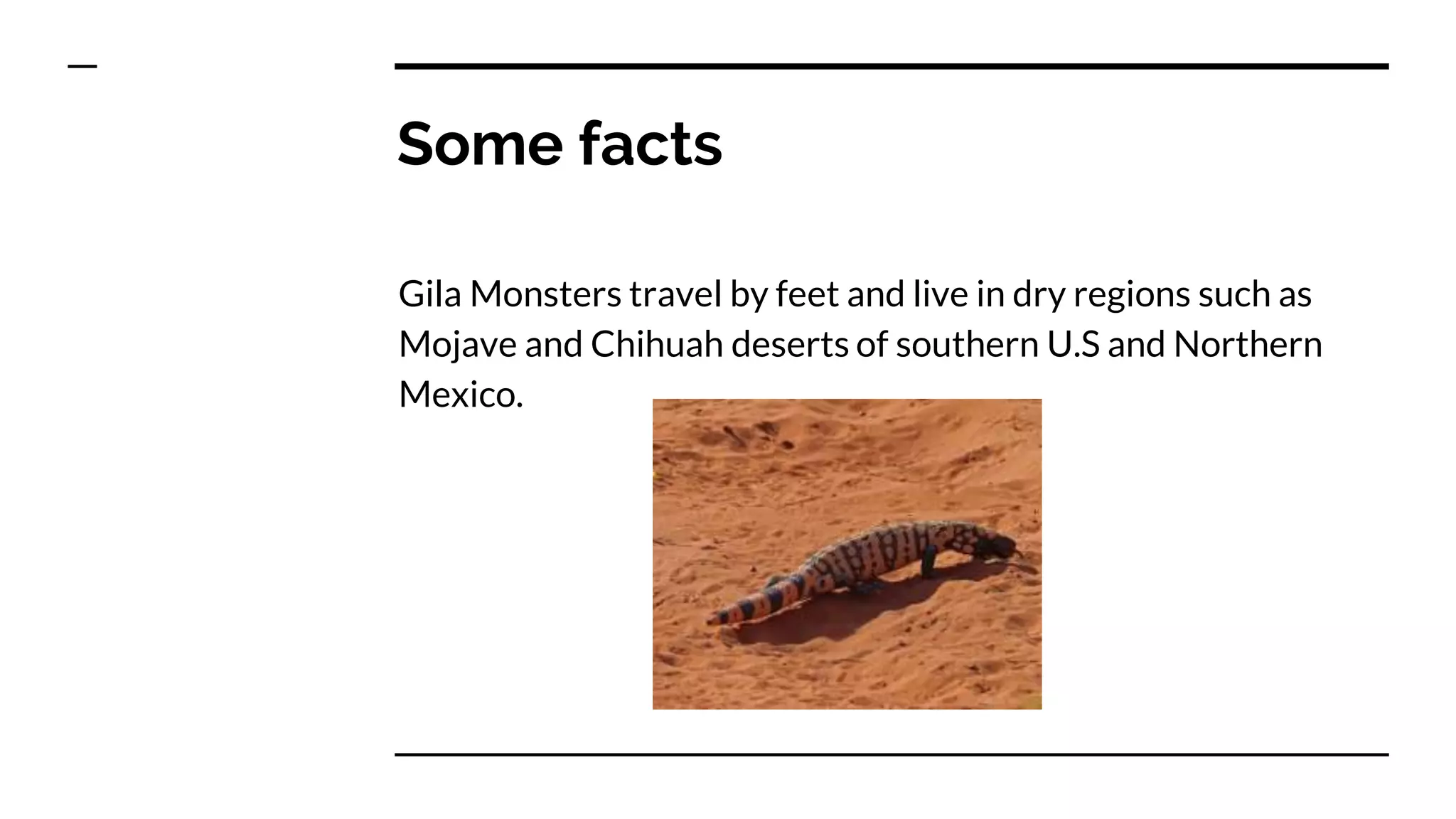 Gila Monster | PPTX