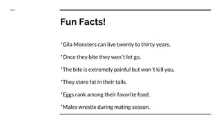 Gila Monster | PPT