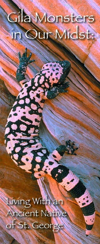 Gila monster brochure | PDF