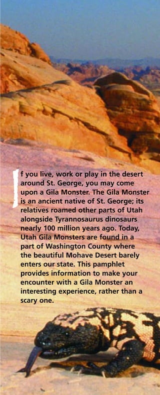 Gila monster brochure | PDF