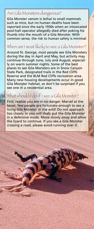 Gila monster brochure | PDF