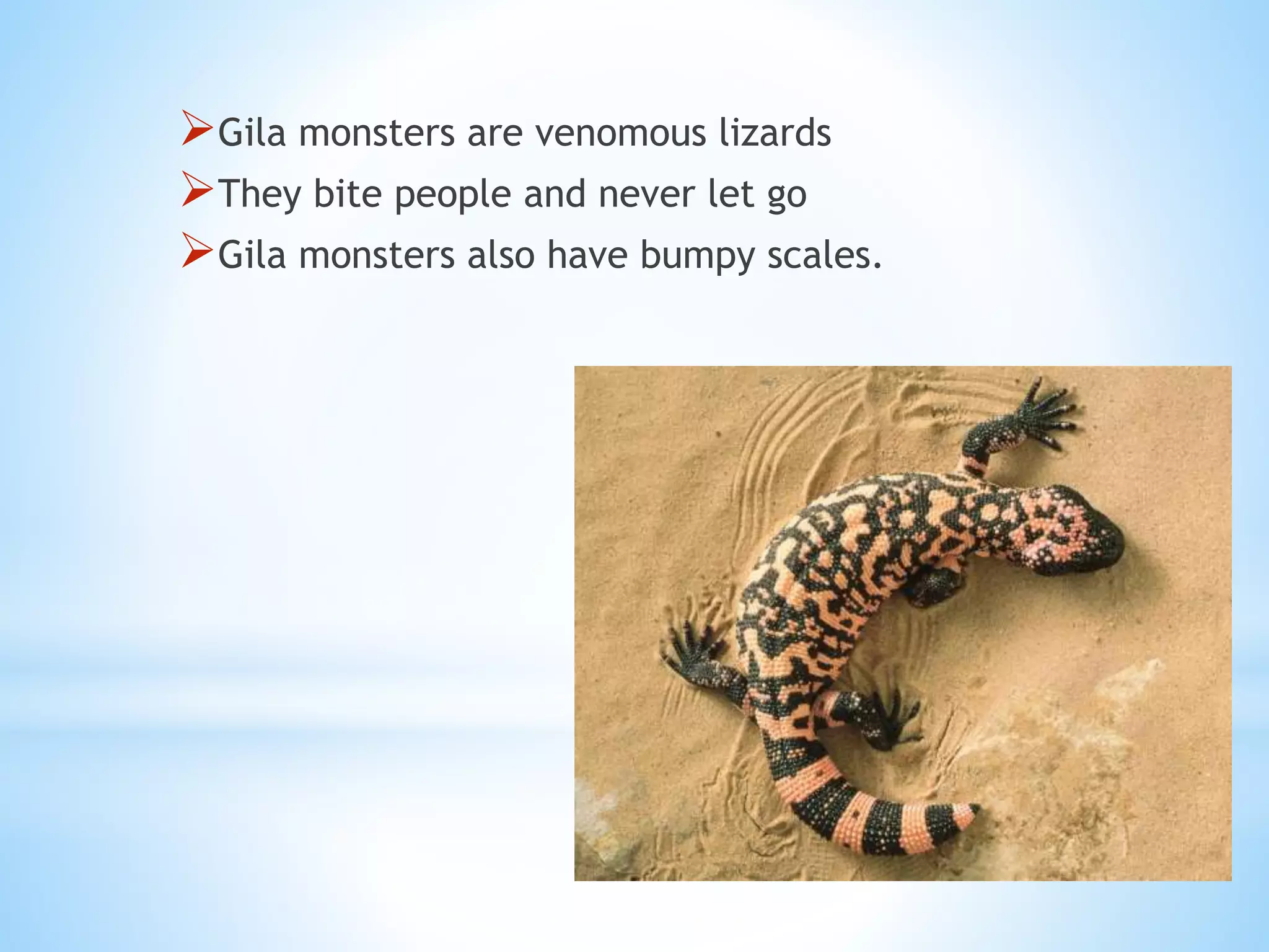 Gila monsters | PPTX