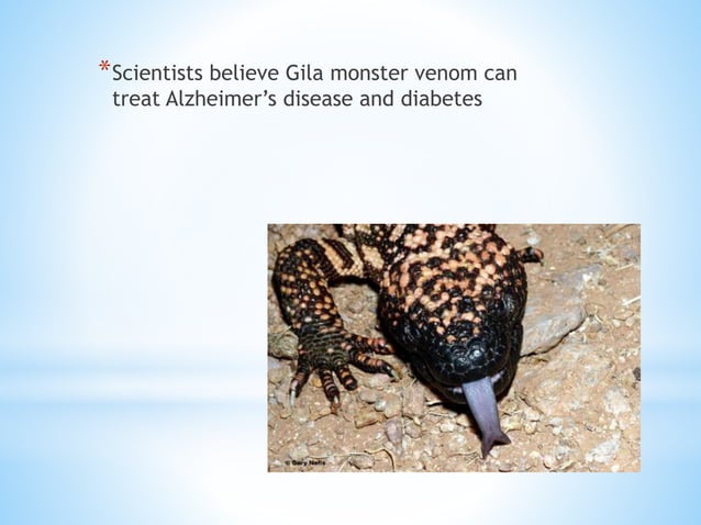 Gila monsters | PPTX