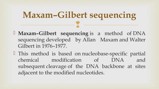 Maxam–Gilbert sequencing | PPT