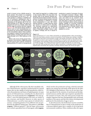 Life cycle and evolution of developmental patterns | PDF