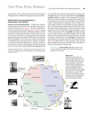 Life cycle and evolution of developmental patterns | PDF