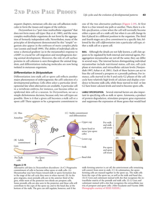Life cycle and evolution of developmental patterns | PDF