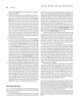 Life cycle and evolution of developmental patterns | PDF