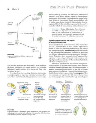 Life cycle and evolution of developmental patterns | PDF