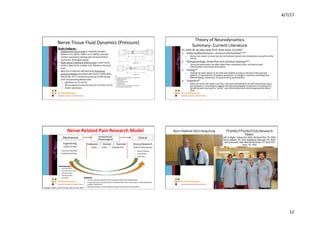 ‘Clinical Neurodynamics: clinical application from an anatomical ...