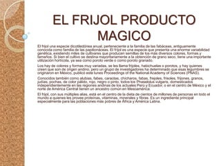 El frijol | PPTX