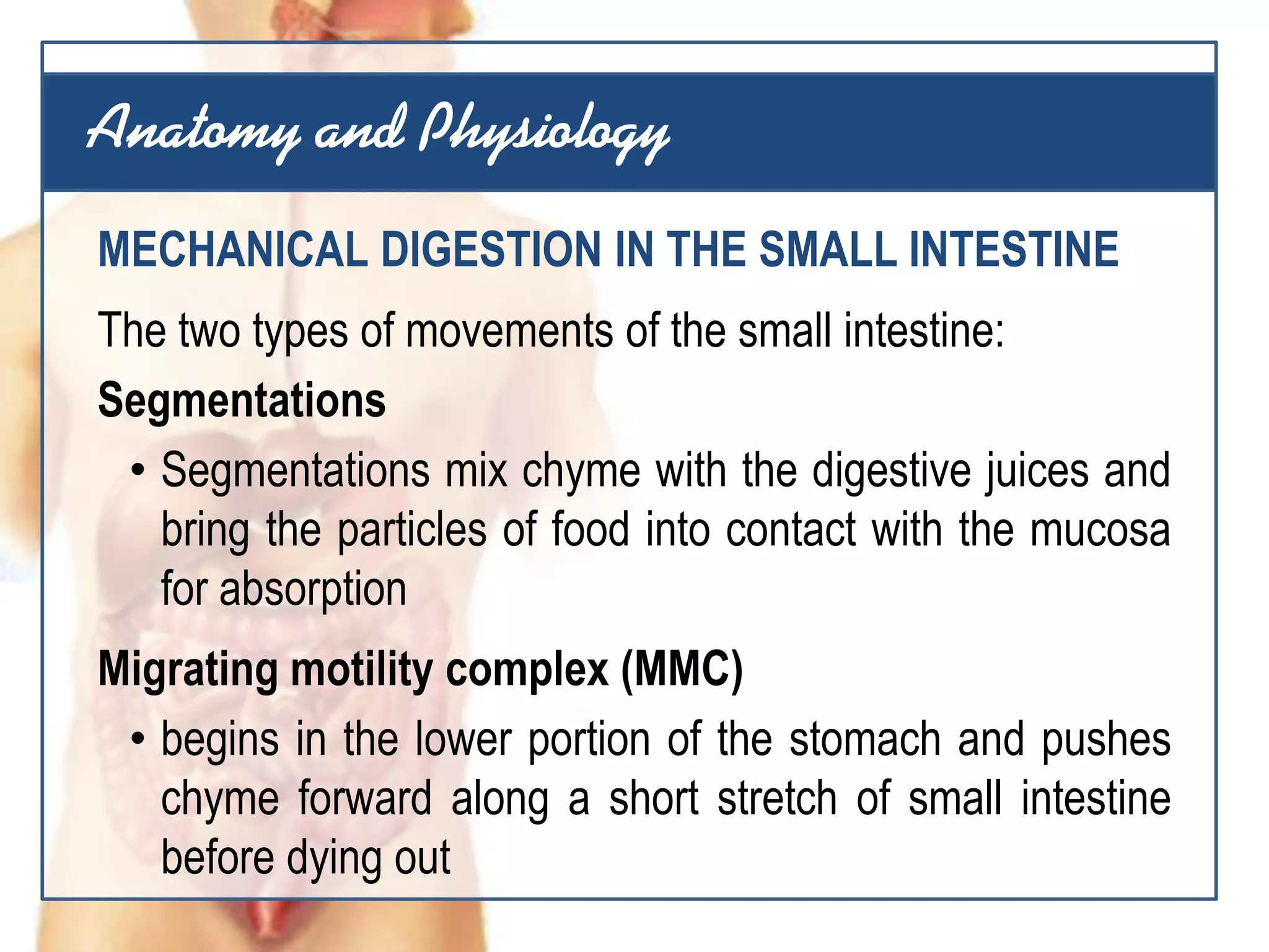 GI System 1 Lecture | PDF