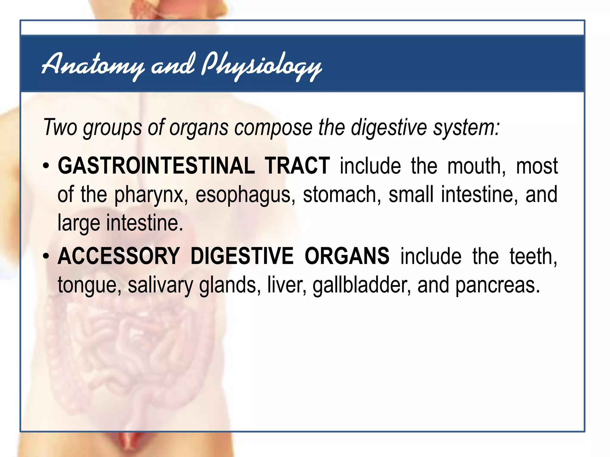 GI System 1 Lecture | PDF