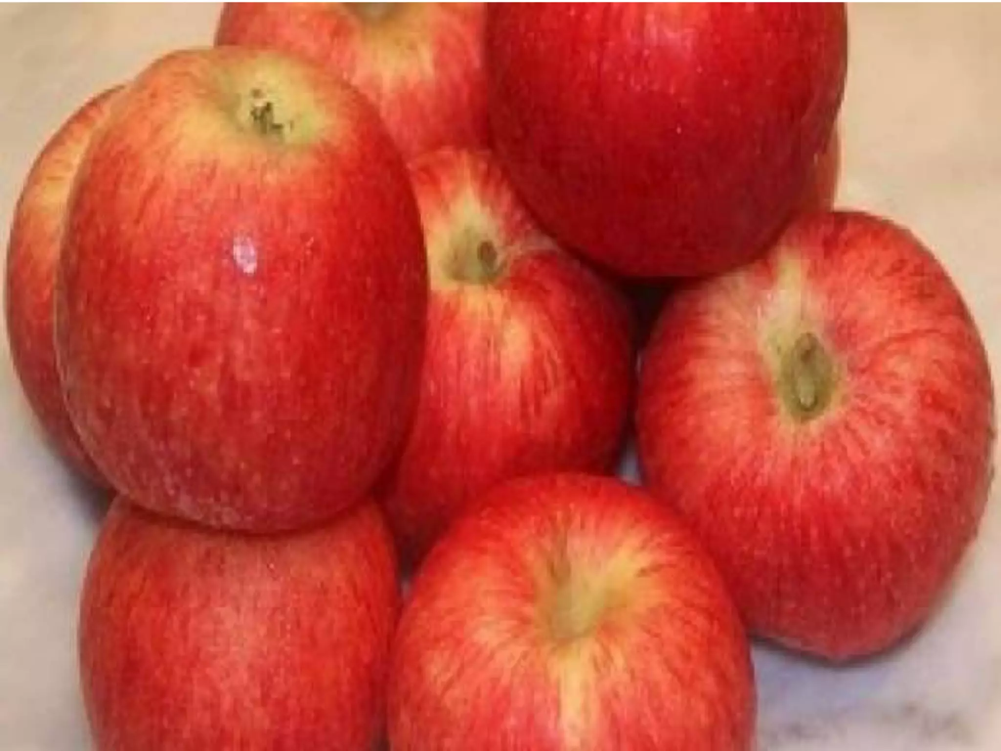 Gilgit baltistan important fruits A Series of Presentation Complied By ...