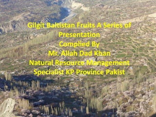 Gilgit baltistan important fruits A Series of Presentation Complied By ...