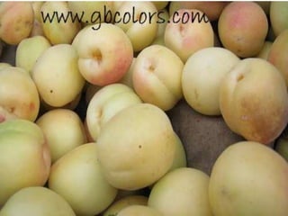 Gilgit baltistan important fruits A Series of Presentation Complied By ...