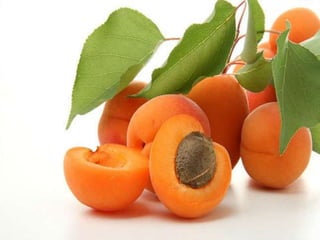 Gilgit baltistan important fruits A Series of Presentation Complied By ...