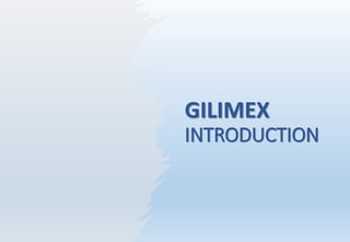 Gilimex Company Intro 2023.pdf