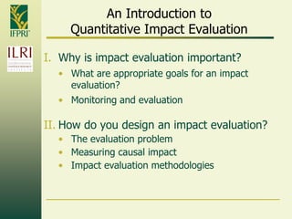 Gilligan quantitative impact eval methods | PDF