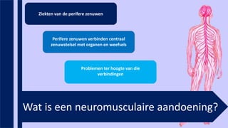 Omkadering voor patiënten met een neuromusculaire aandoening | PPT