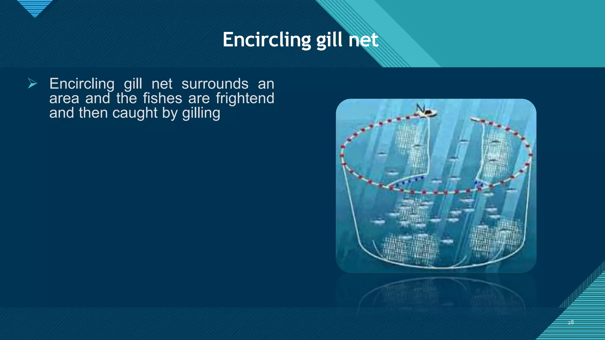 Gill net | PPTX