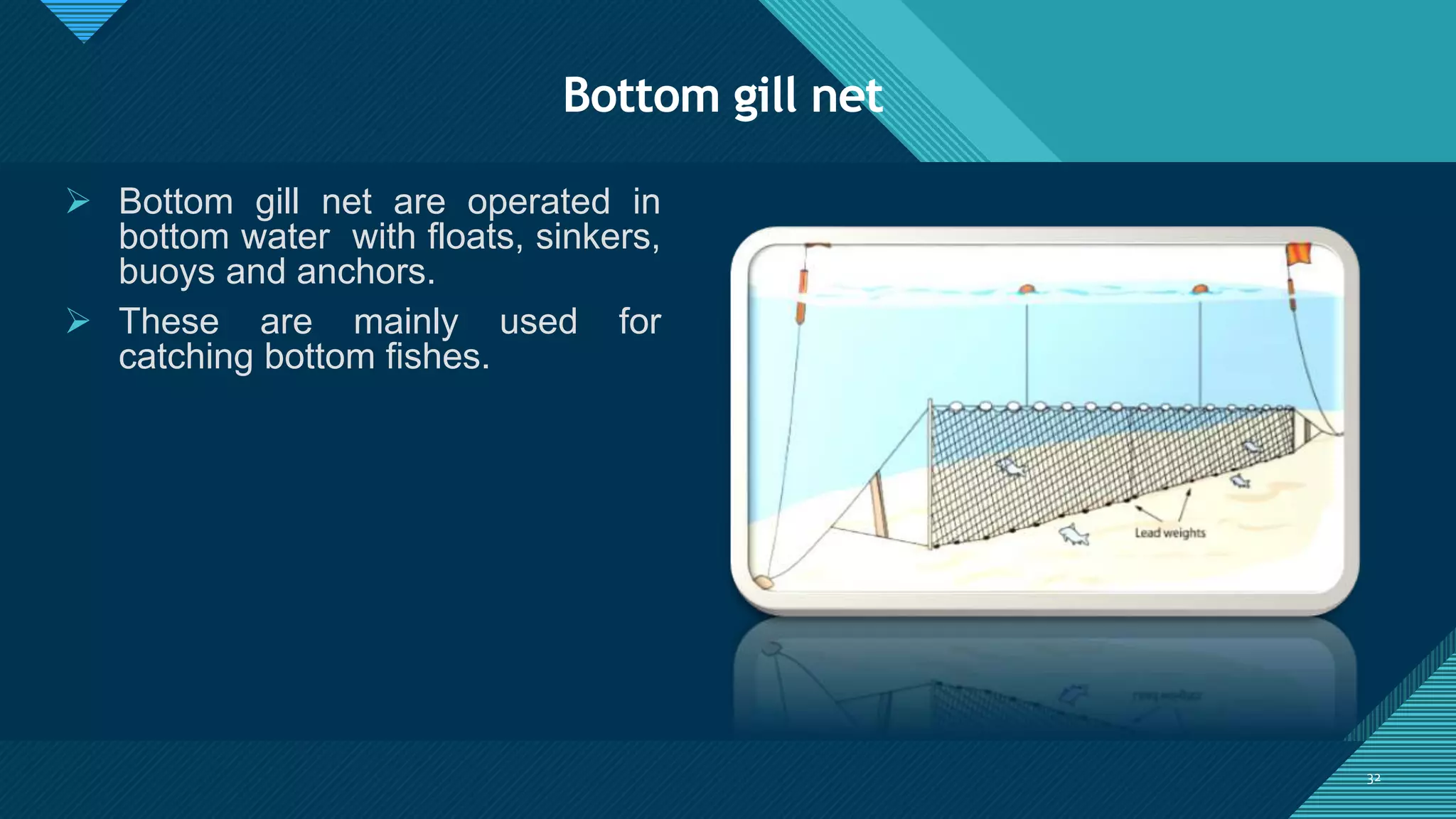 Gill net | PPTX
