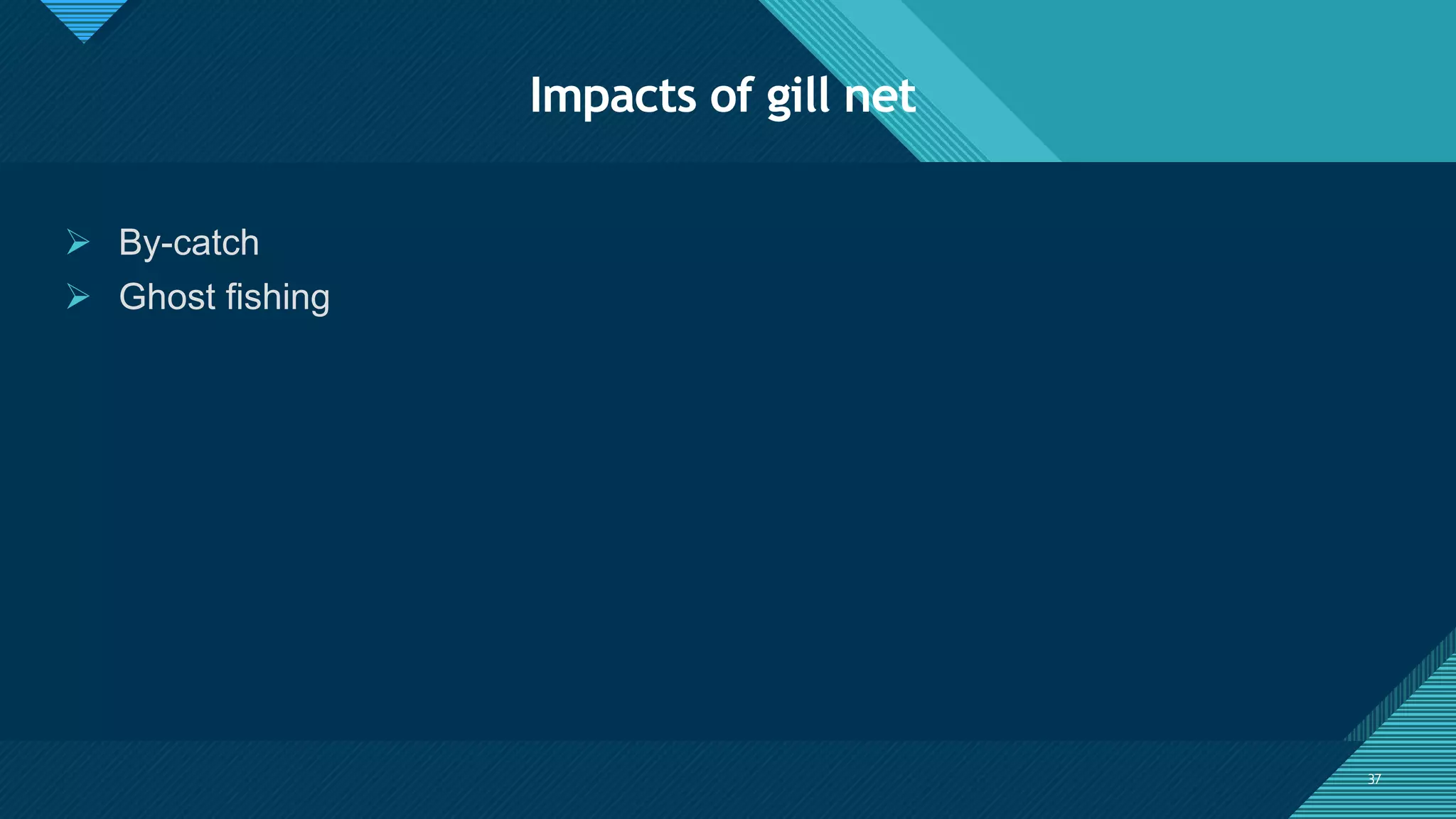 Gill net | PPTX