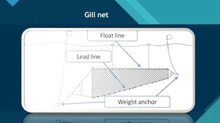 Gill net | PPTX