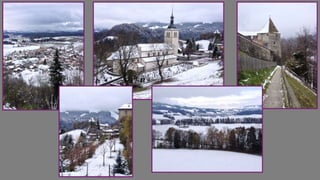 Gilman Follow-on Service Project | PPTX