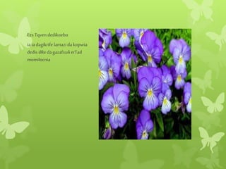 Gilocavt dedis dges | PPTX