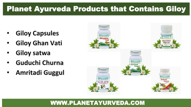 Giloy in Ayurveda - Classical Categorization and Synonyms | PDF