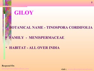 Giloy is amrita | PPT
