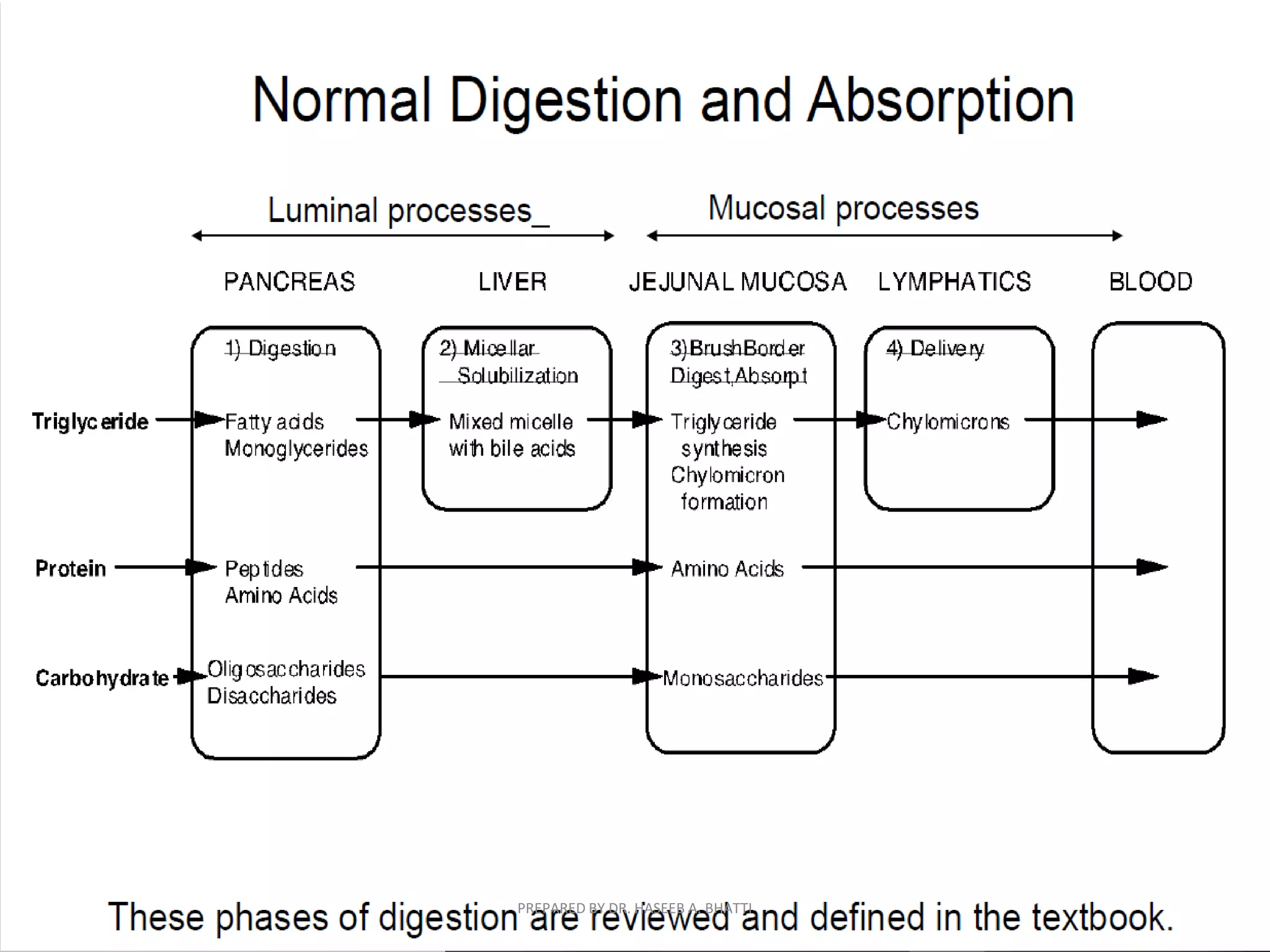 Gastro-Intestinal Malabsorption | PPT