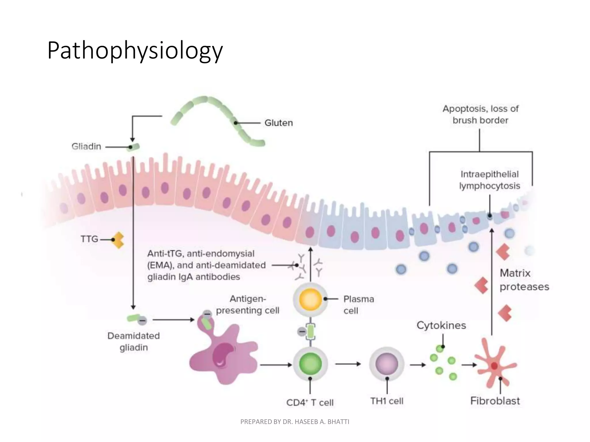 Gastro-Intestinal Malabsorption | PPT