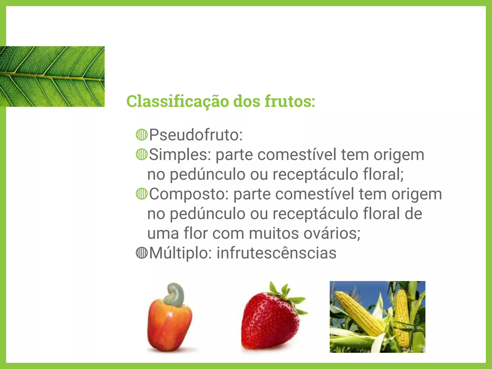 Gimnospermas e Angiospermas | PPTX