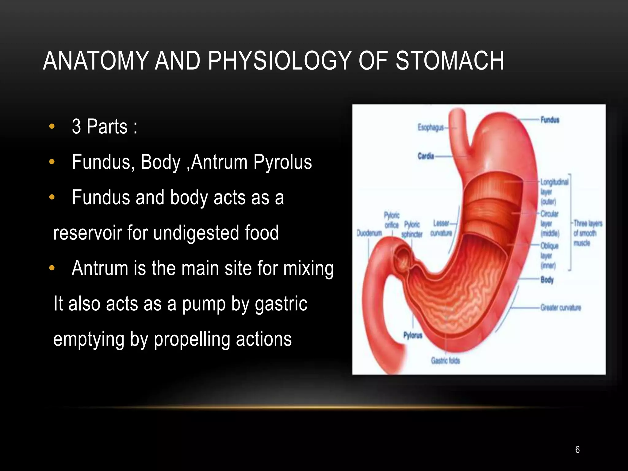 Gastroretentive Drug Delivery System | PPTX