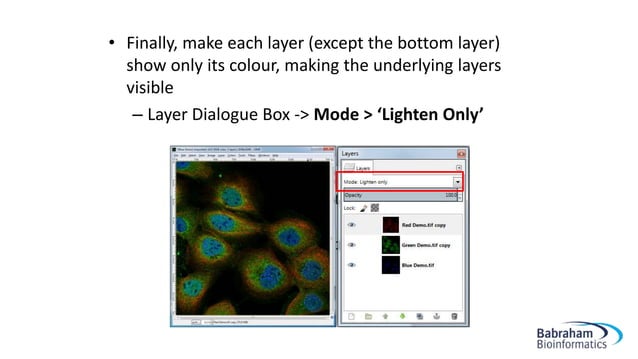 GIMP Tutorial.pptx | Photo Editing Software | Computer Software and Applications