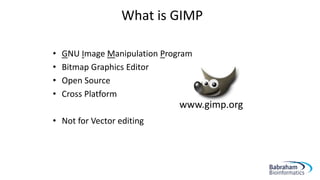 GIMP Tutorial.pptx